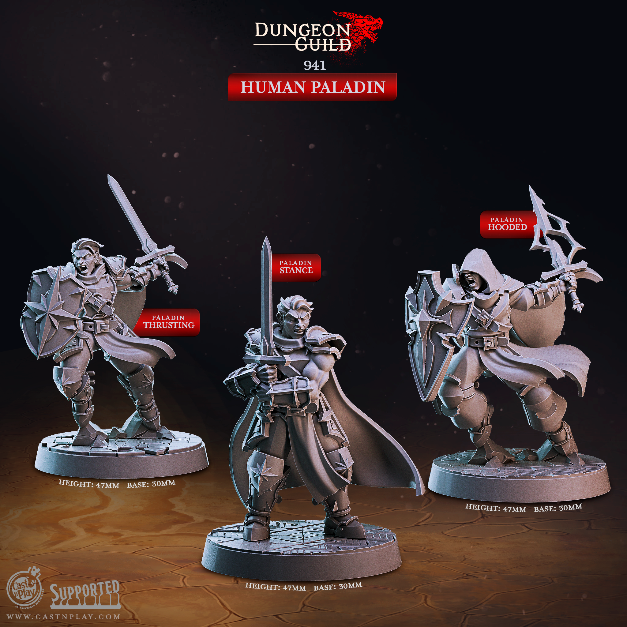 Human Paladin – The Bard's Table